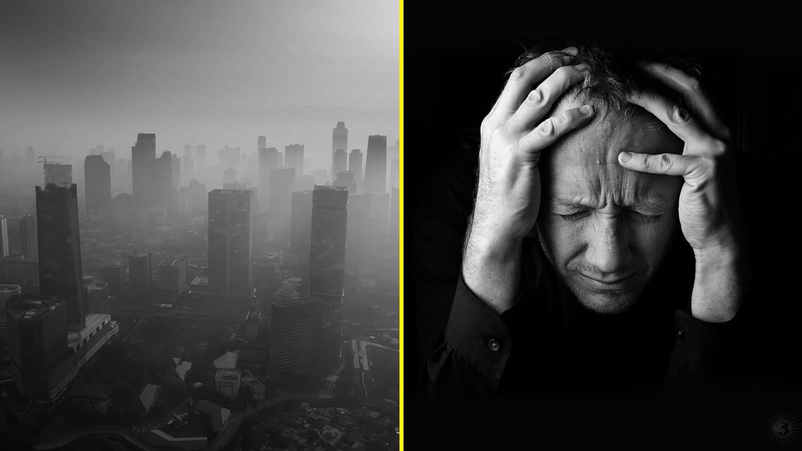 Researchers Say Air Pollution Causes Depression In Adults - The Morning ...