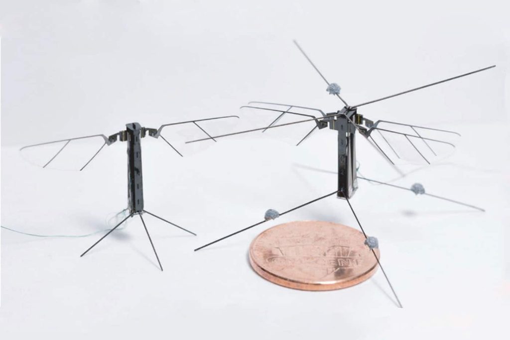 Scientist Developed Tiny Real Life Robotic Insects - The Morning News