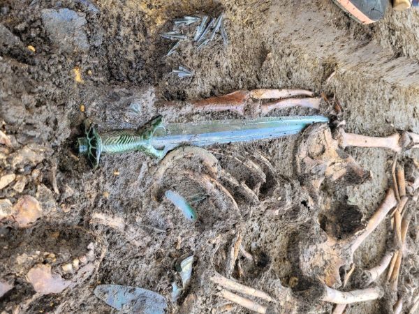 3,000-Year-Old Well Preserved Sword Discovered in Germany - The Morning ...
