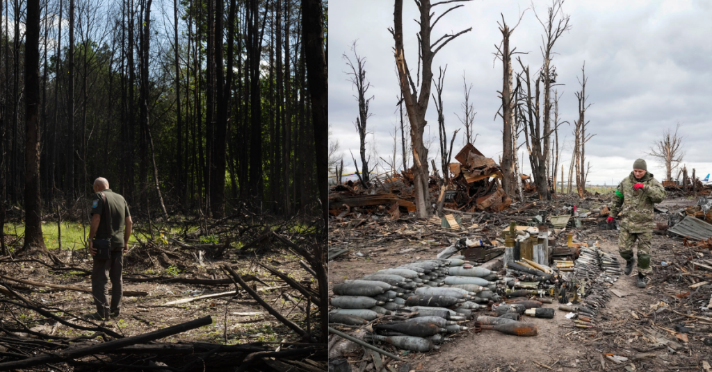 Russia Destroys Over 60,000 Hectares of Ukrainian Forests - The Morning ...