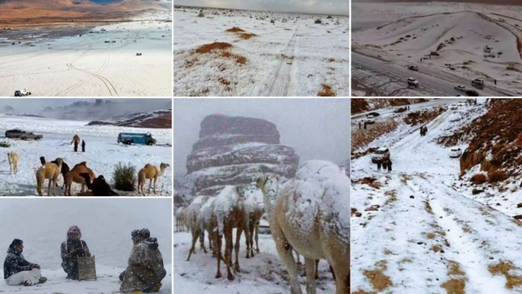 Saudi Arabia Desert Sees Rare Snowfall For First Time in History - The ...